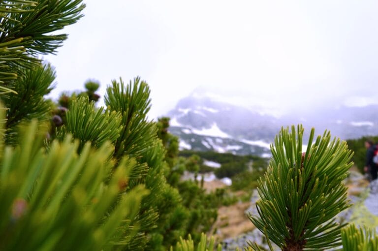 Content Marketing 2.0: Creating Evergreen Assets Year-Round
